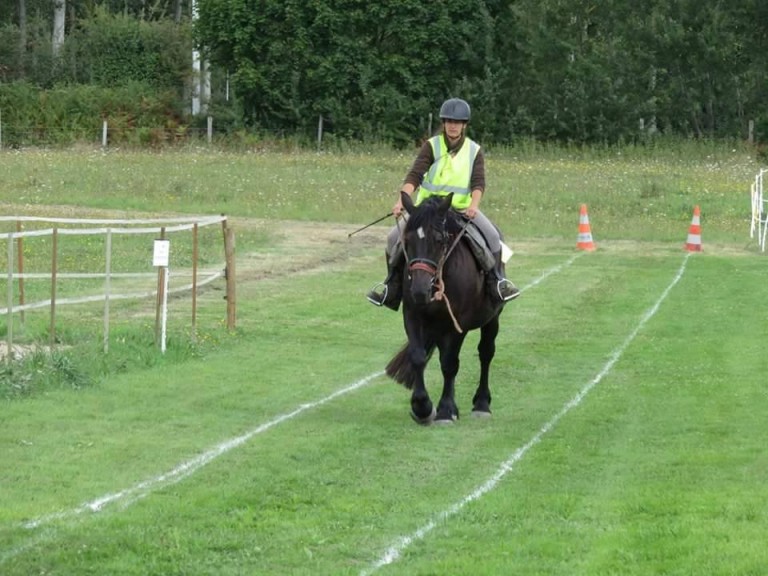 Le Trec c'est quoi ? - Le Blog cheval et moi